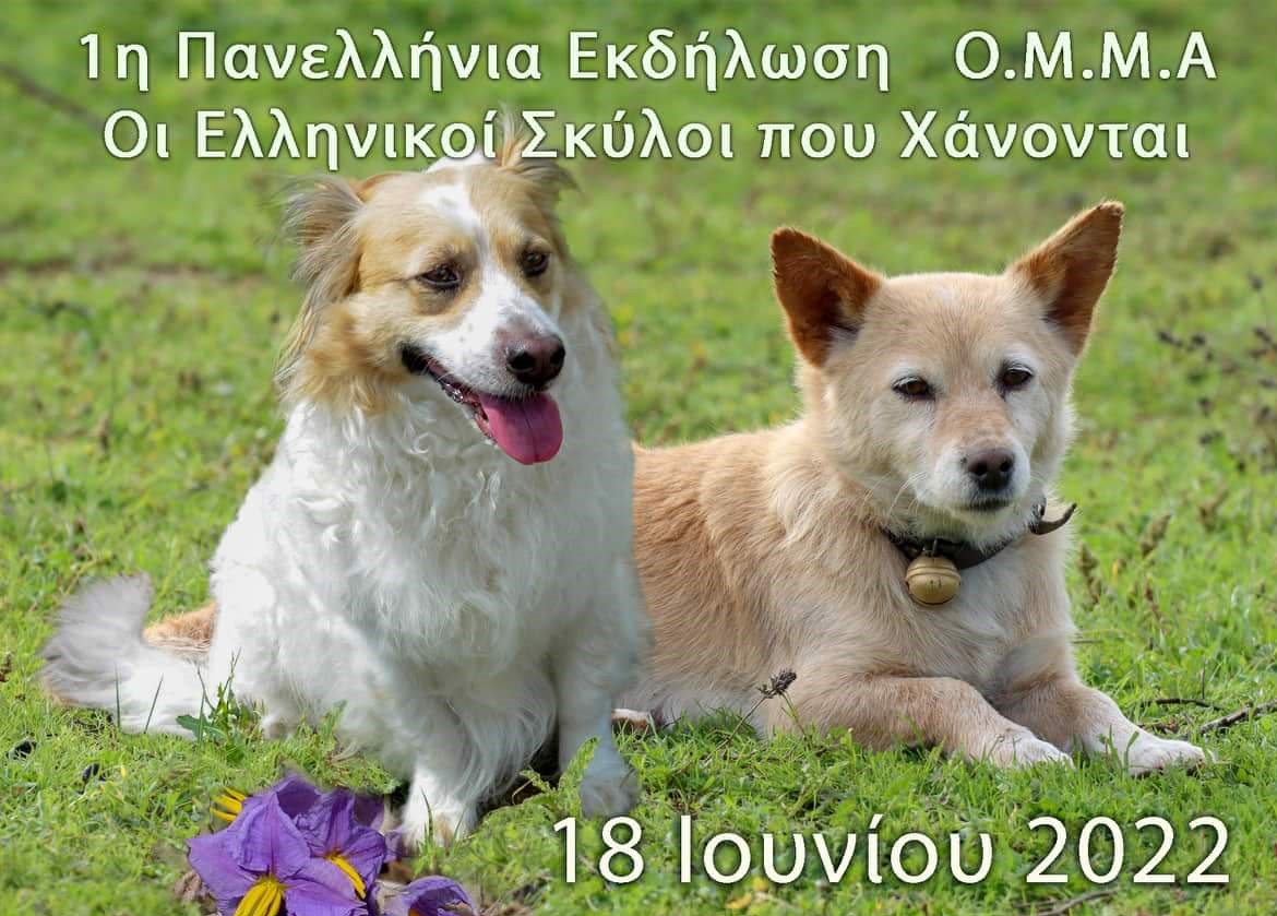 ΗΜΕΡΙΔΑ"ΟΙ ΕΛΛΗΝΙΚΟΙ ΣΚΥΛΟΙ ΠΟΥ ΧΑΝΟΝΤΑΙ" | Τμήμα Επιστήμης Ζωικής ...